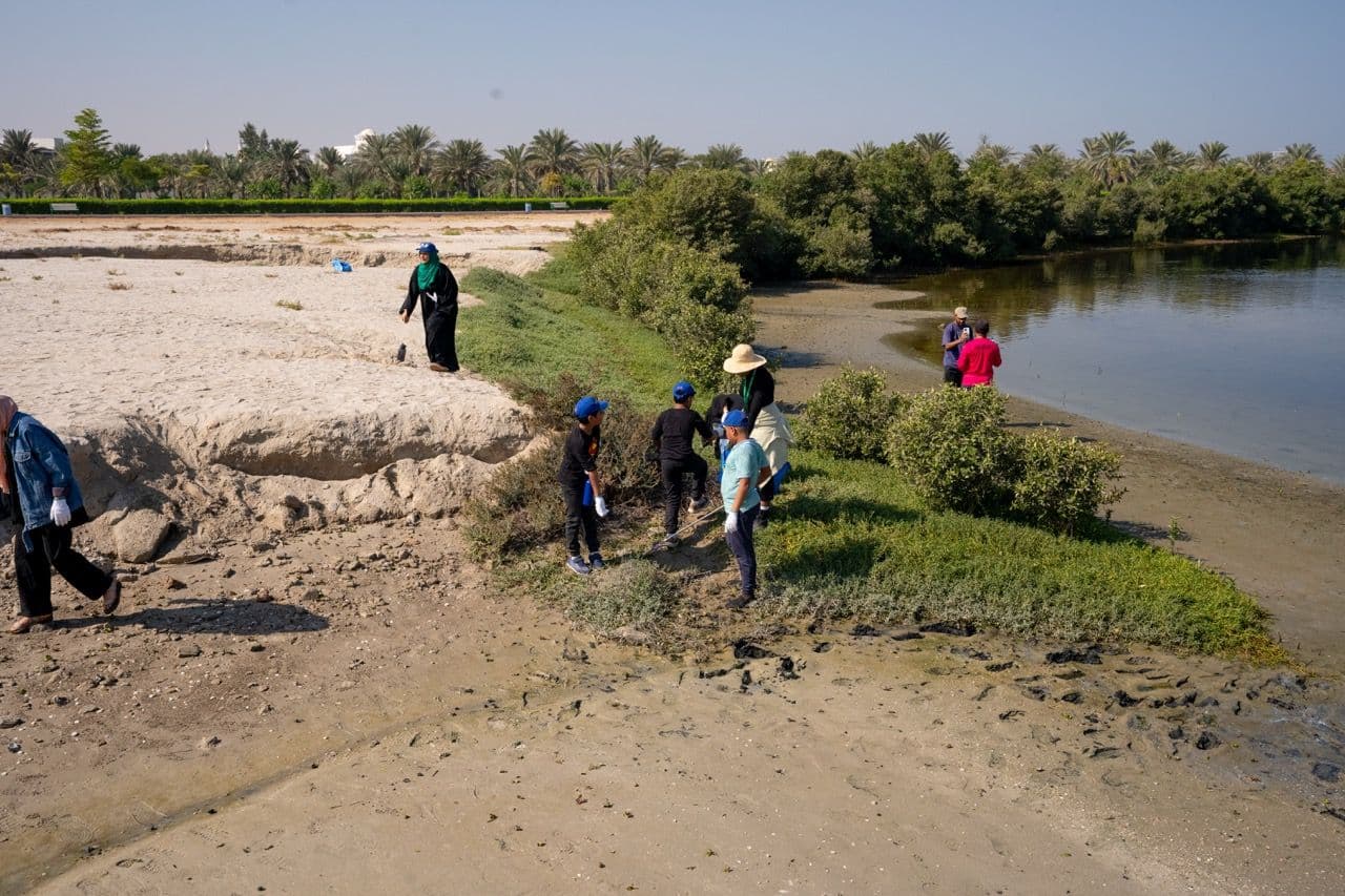 Mangrove Champions - Planting: Dubai | UAE Year of Community